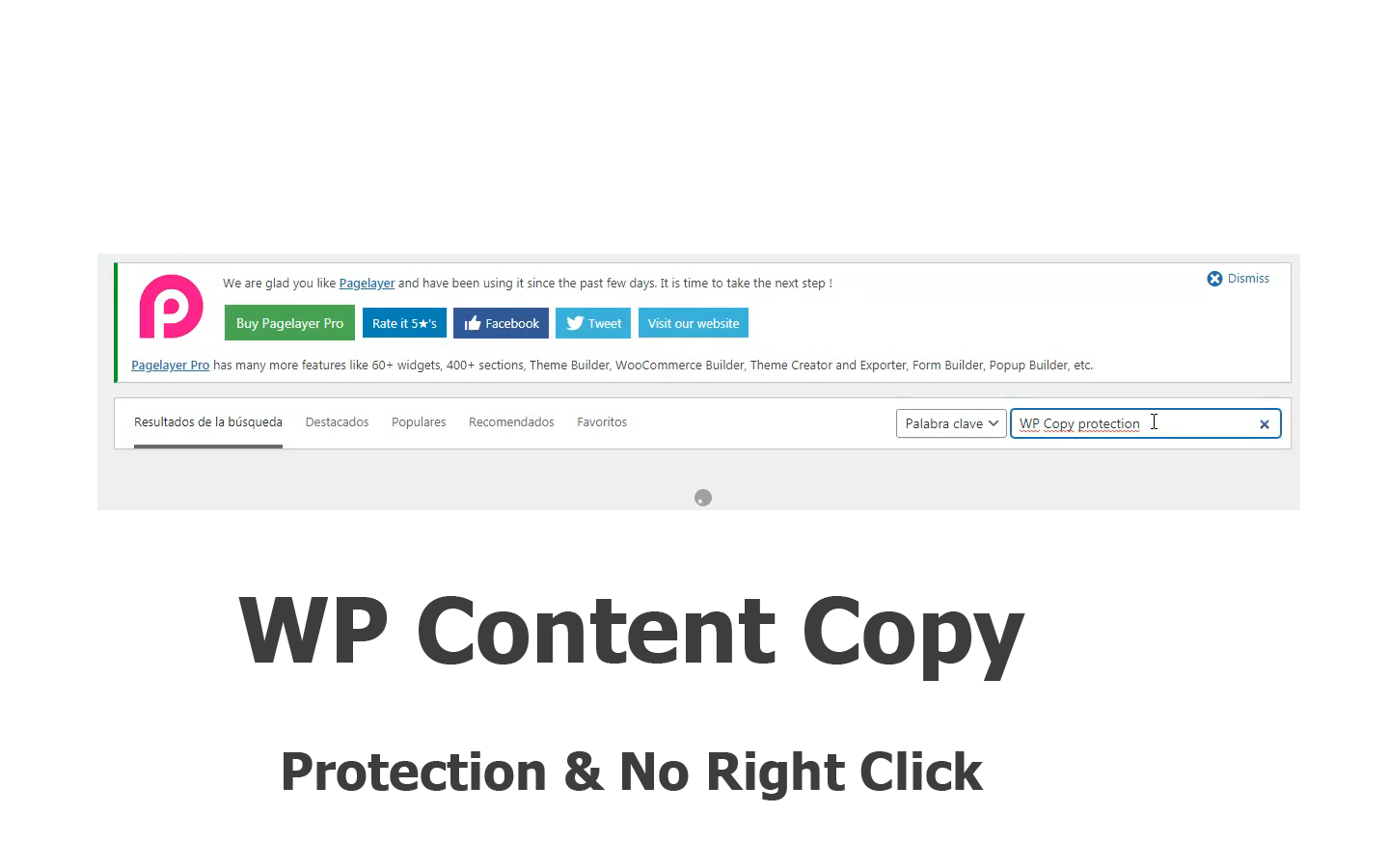 Instalar WP Content Copy Protection en WordPress [Protege tu contenido ...
